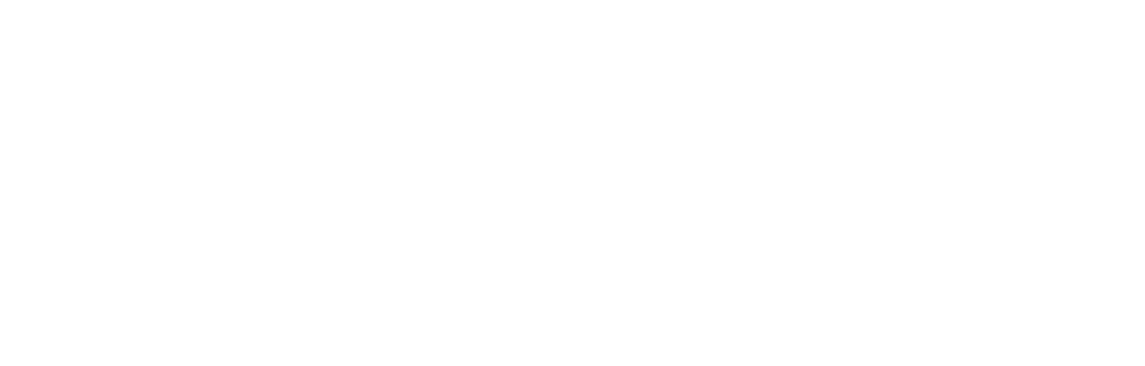 Premier Risk Solutions: Expert Security and Protective Services